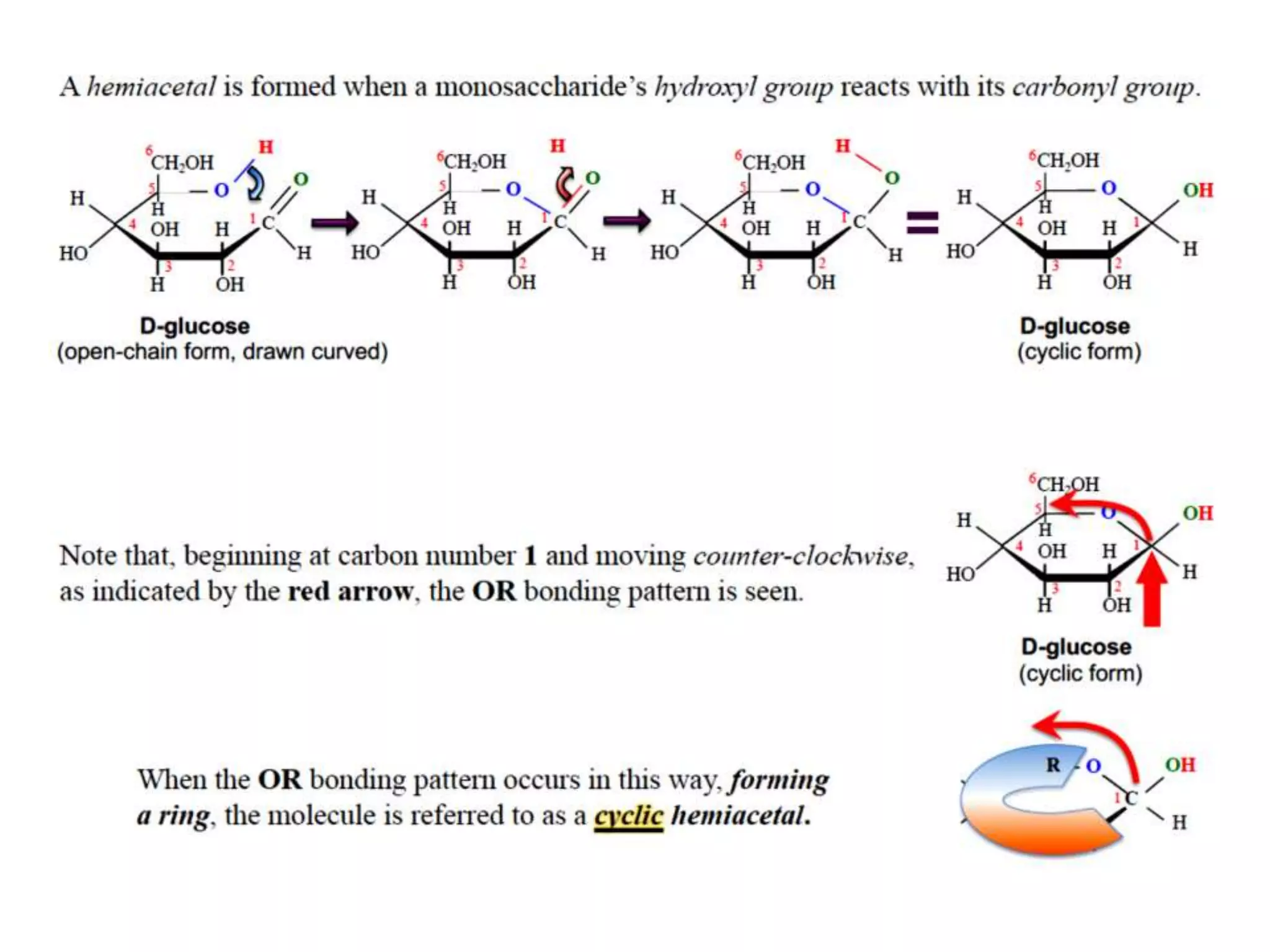 Carbohydrates: Monosaccharides- structure and function | PPTX