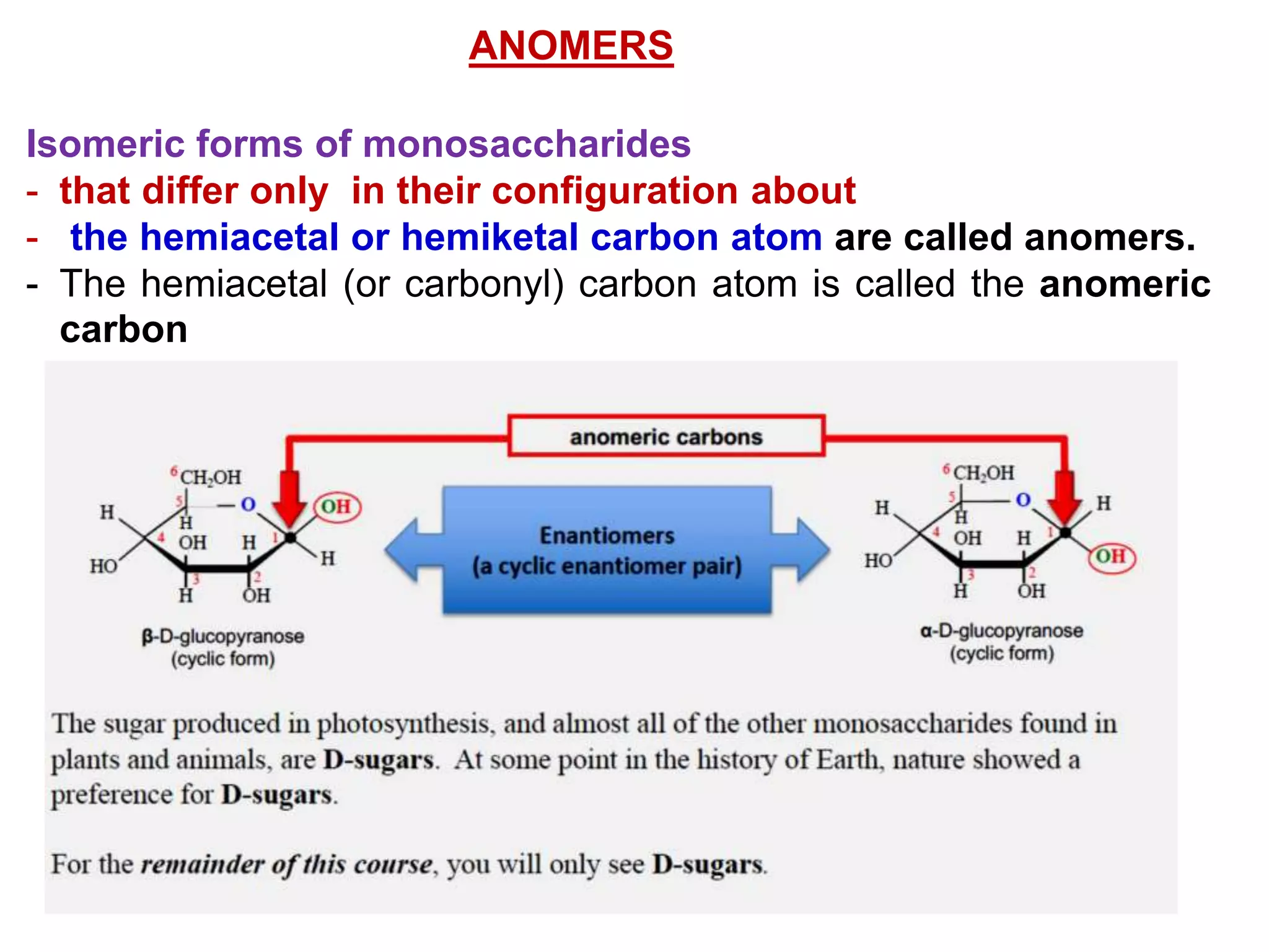 Carbohydrates: Monosaccharides- structure and function | PPTX