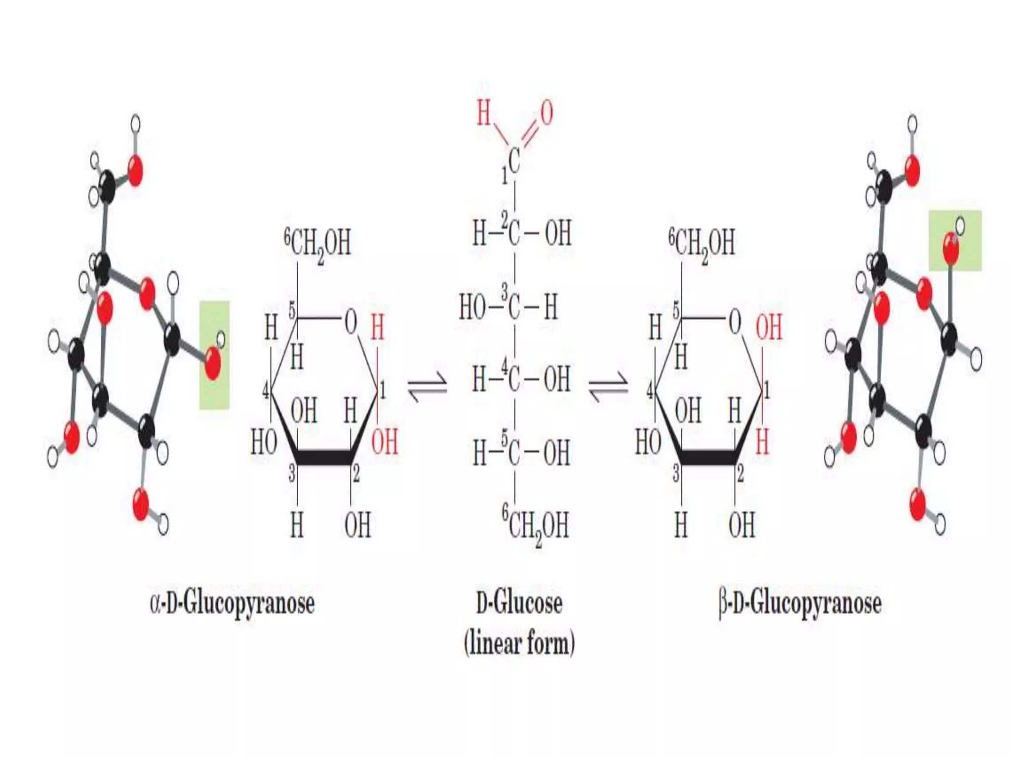 Carbohydrates: Monosaccharides- structure and function | PPTX
