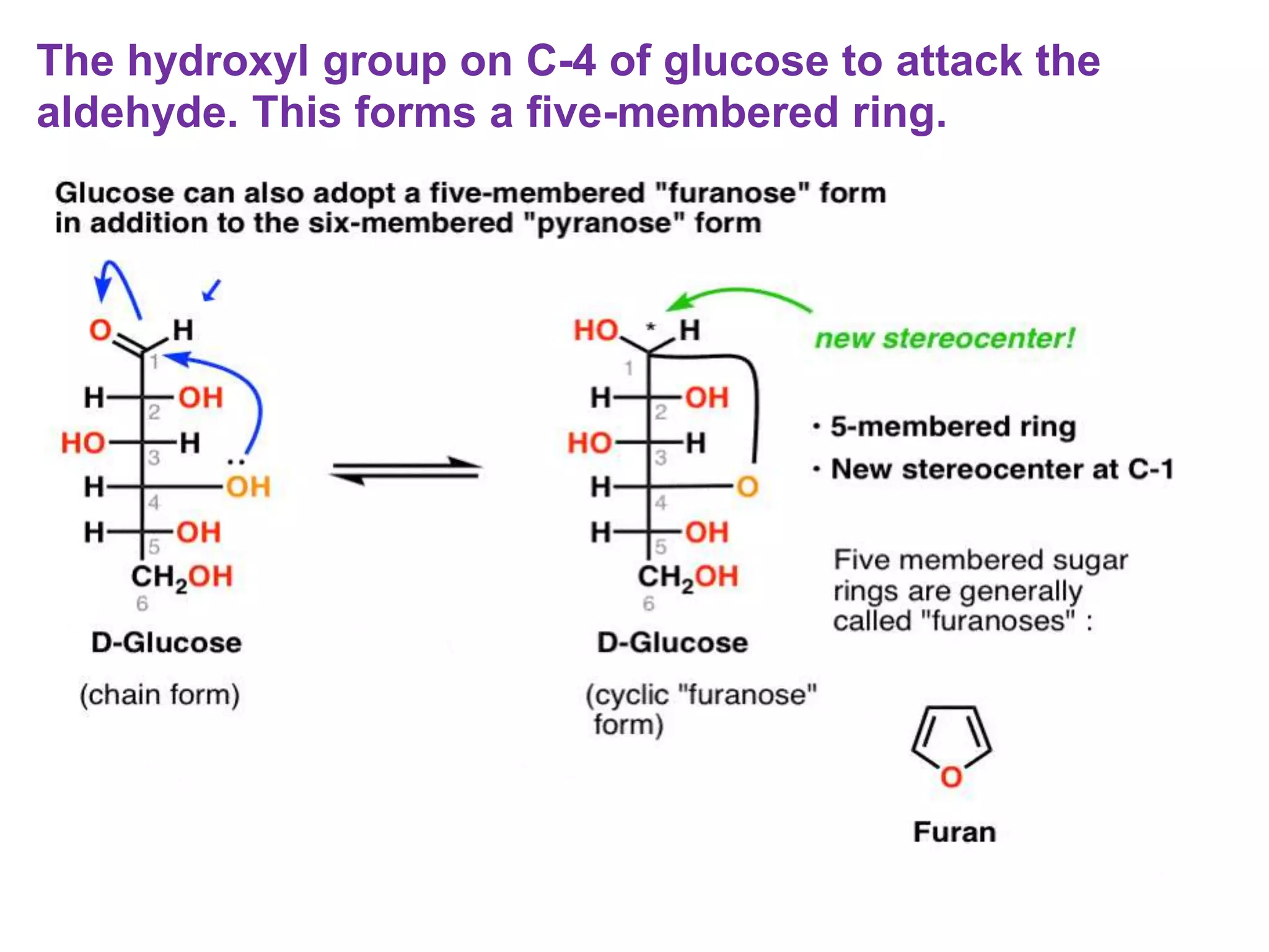 Carbohydrates: Monosaccharides- structure and function | PPTX
