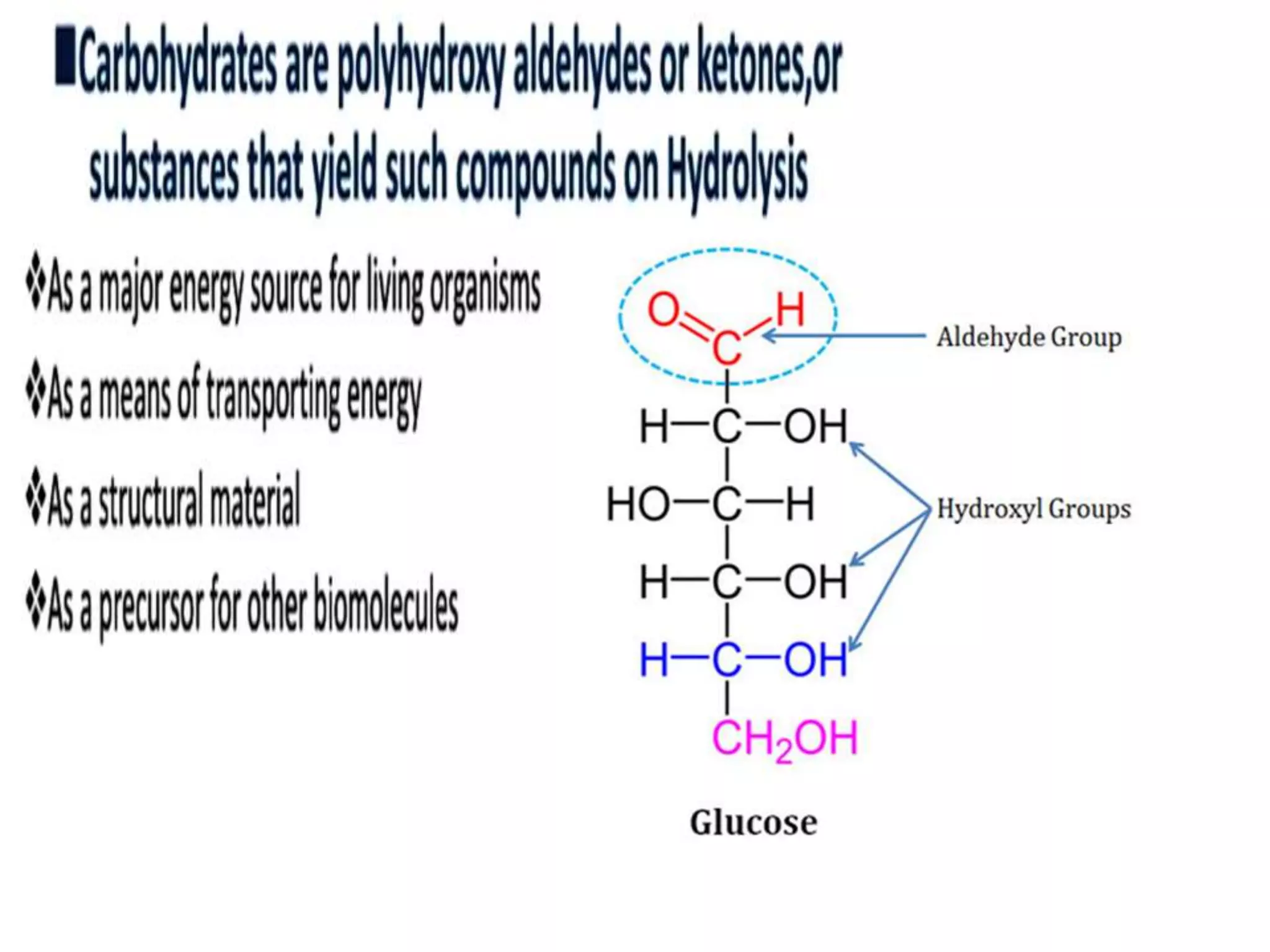 Carbohydrates: Monosaccharides- structure and function | PPTX