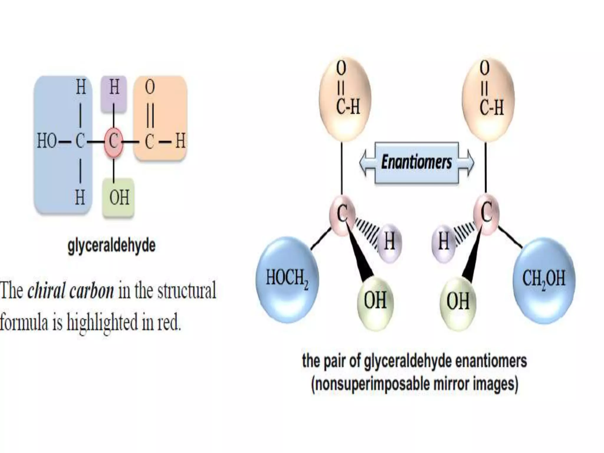 Carbohydrates: Monosaccharides- structure and function | PPTX