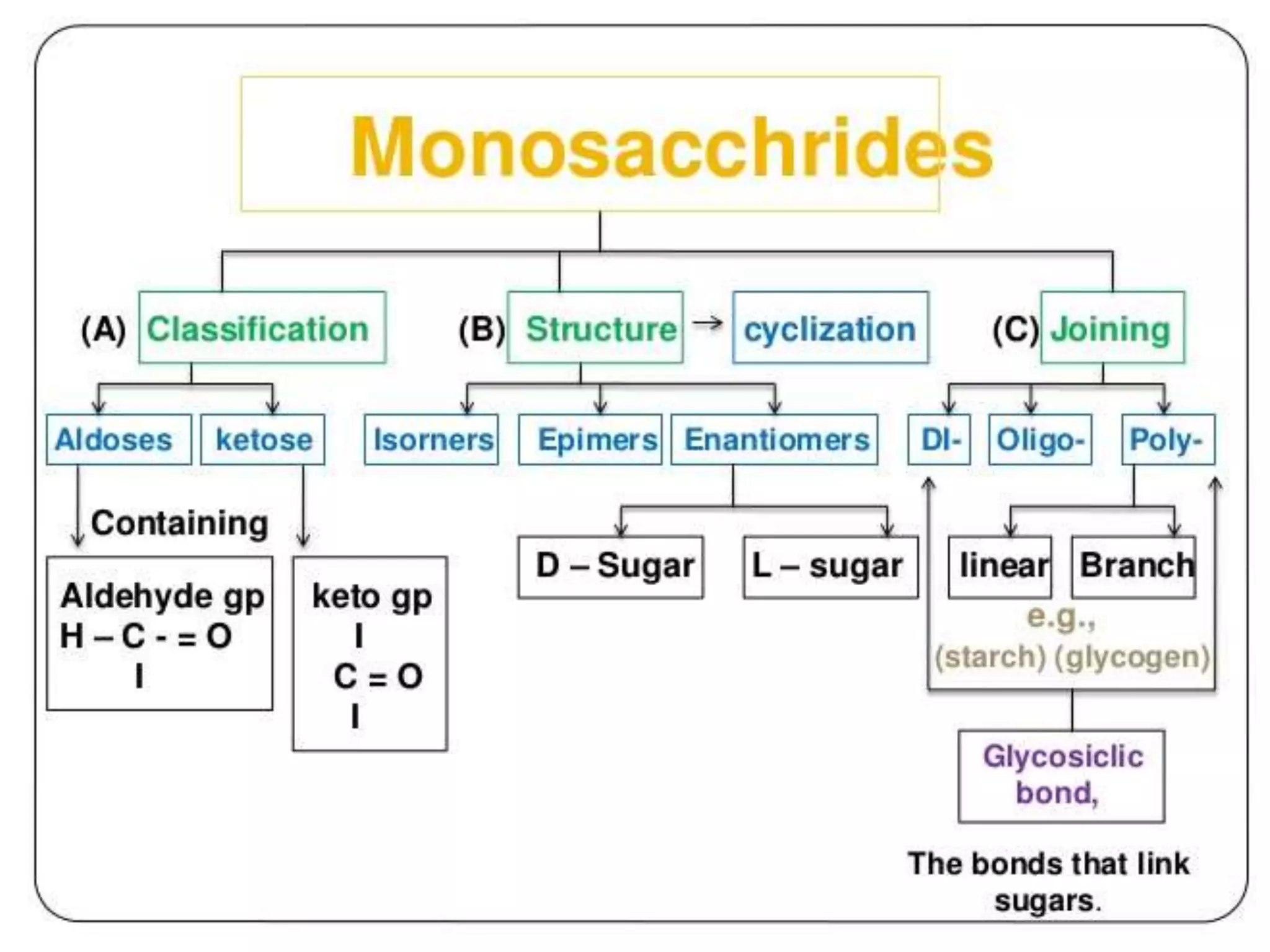 Carbohydrates: Monosaccharides- structure and function | PPTX