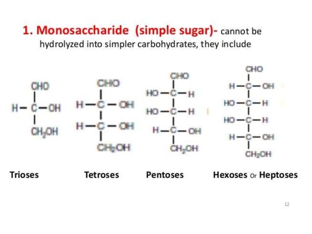Carbohydrates: Monosaccharides- structure and function