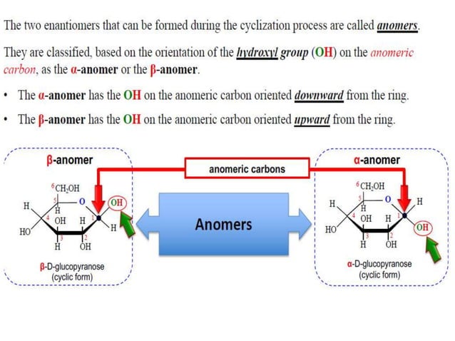 Carbohydrates Monosaccharides Structure And Function