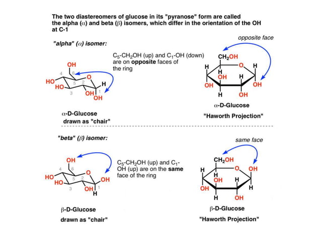 Carbohydrates Monosaccharides Structure And Function
