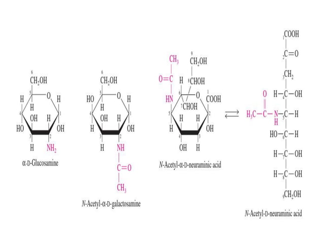 Carbohydrates Monosaccharides Structure And Function