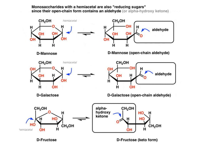 Carbohydrates Monosaccharides Structure And Function