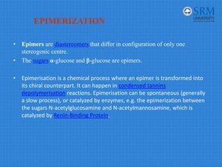 CARBOHYDRATES (1).pdf