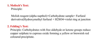 Biochemistry and clinical Pathology -carbohydrates | PPTX