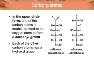 Carbohydrates 1st Module.pptx | Chemistry | Science