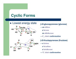 Carbohydrates Biochemistry | PDF