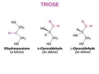 Functional properties of food | PPT