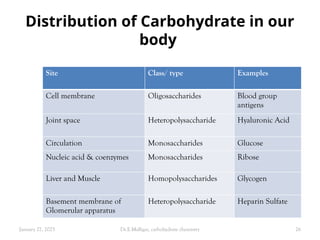 Carbohydrates2017 (1).pptx.............. | PPTX