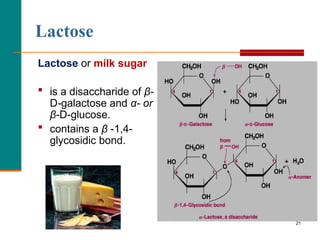 Carbohydrates(29-12-2018) (1).ppt for nurses | PPT
