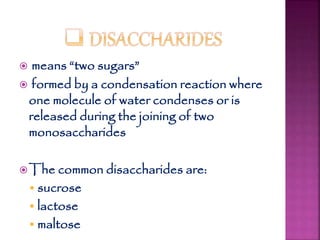 Carbohydrates Basic | PPTX