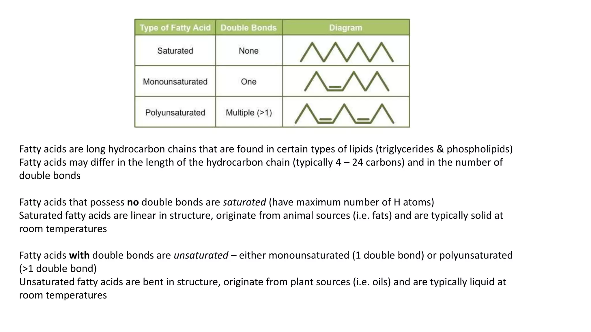 Carbohydrates and lipids | PPT