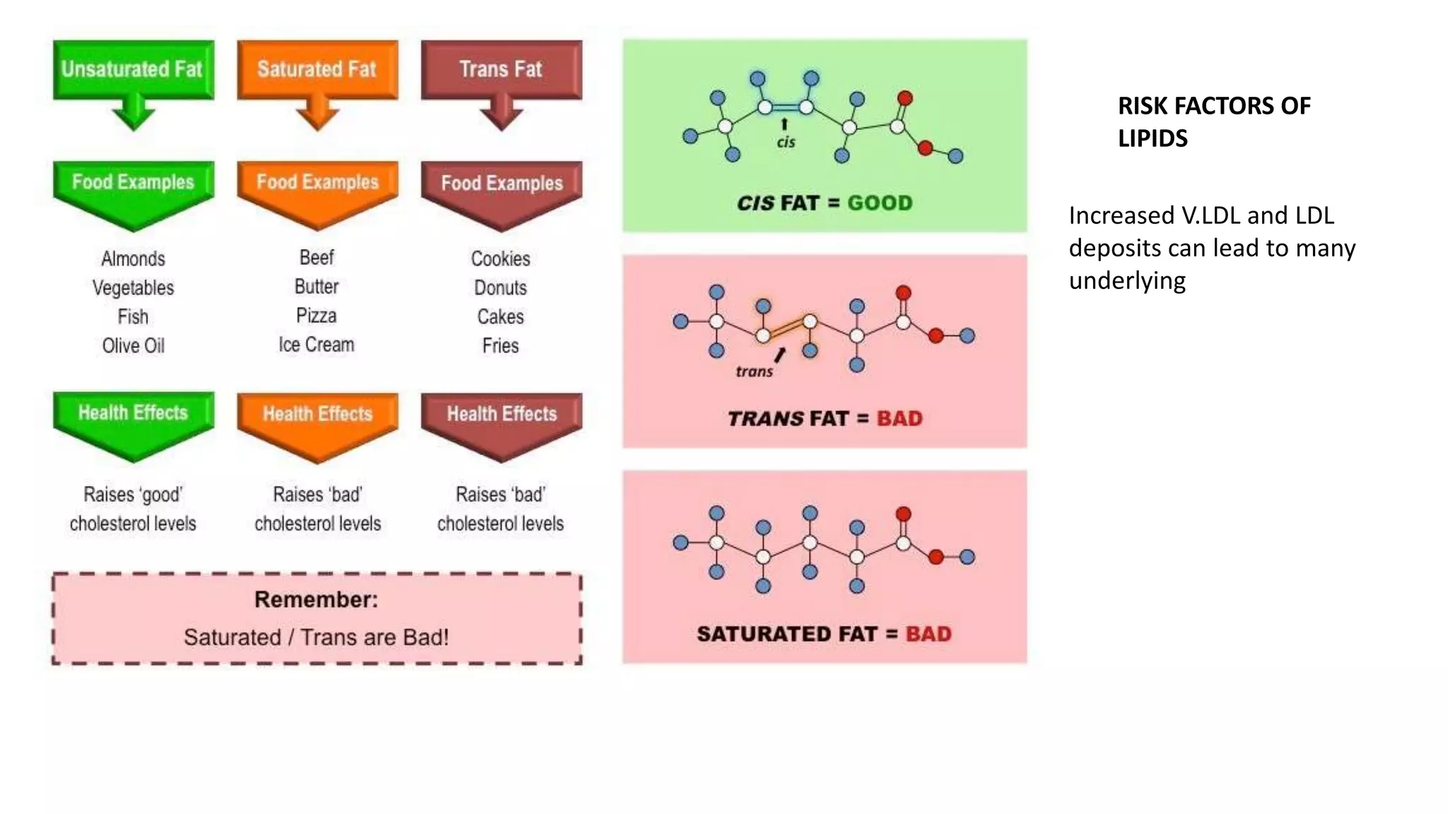 Carbohydrates and lipids | PPT