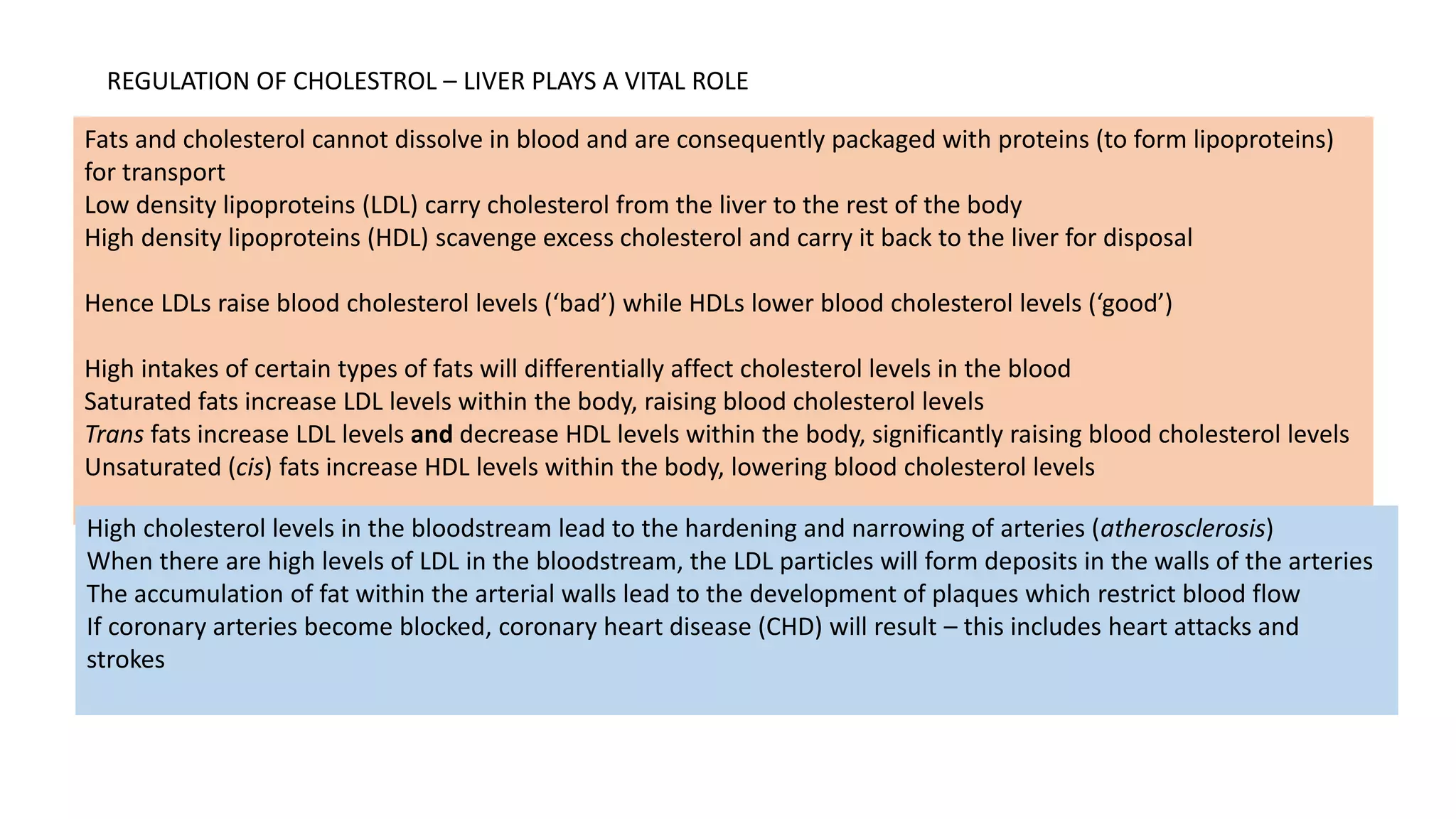 Carbohydrates and lipids | PPT