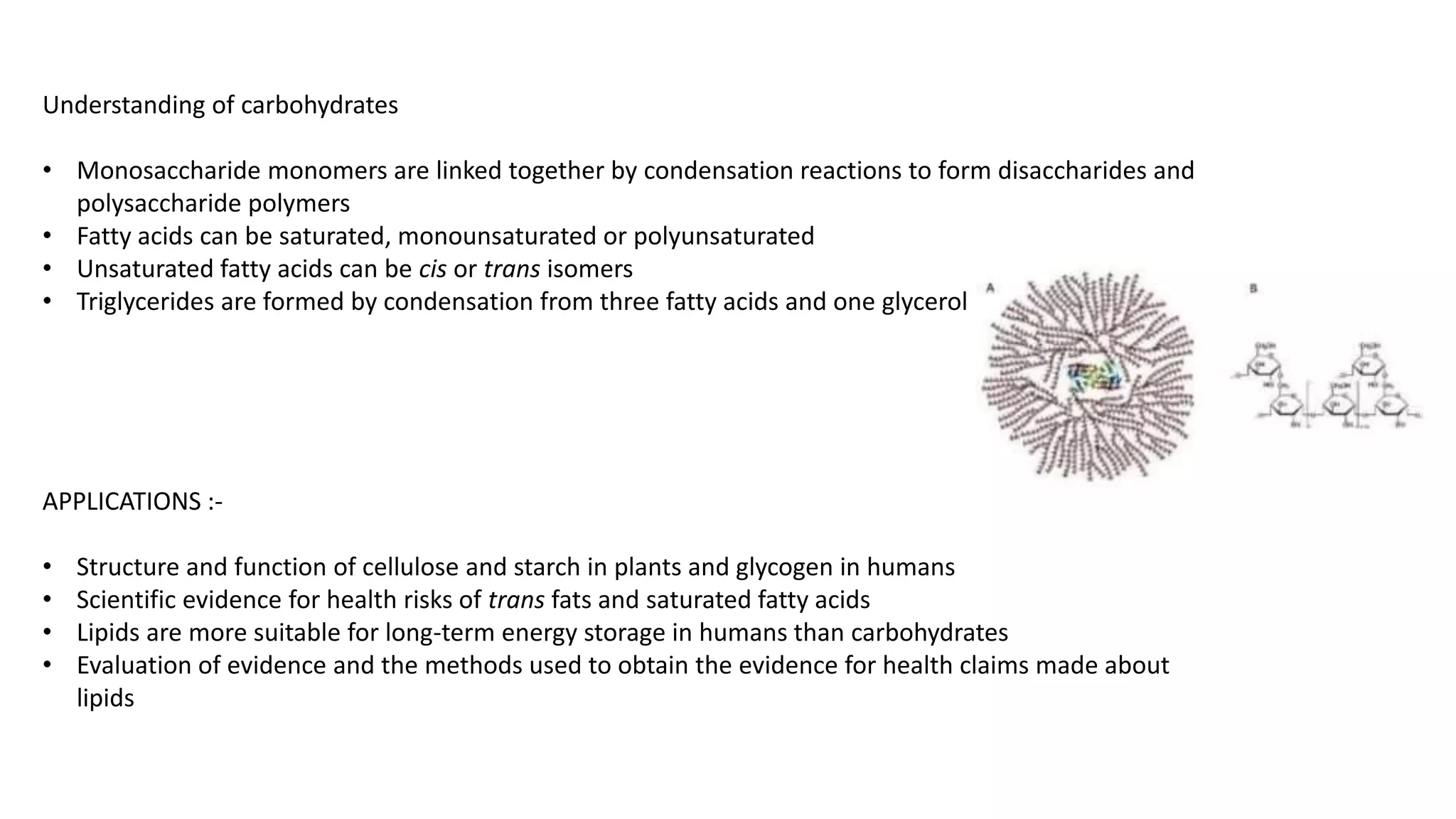 Carbohydrates and lipids | PPT