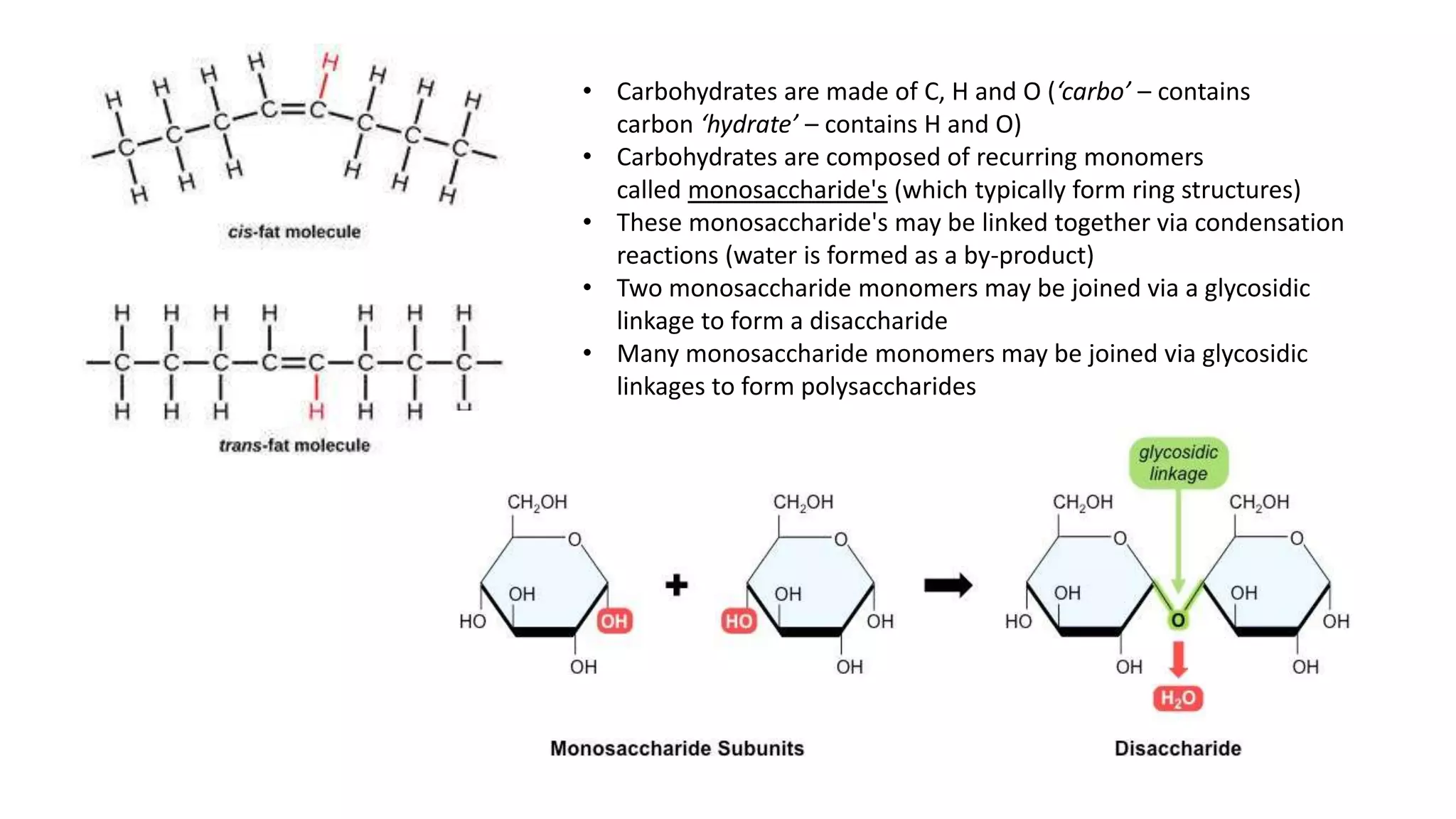 Carbohydrates and lipids | PPT