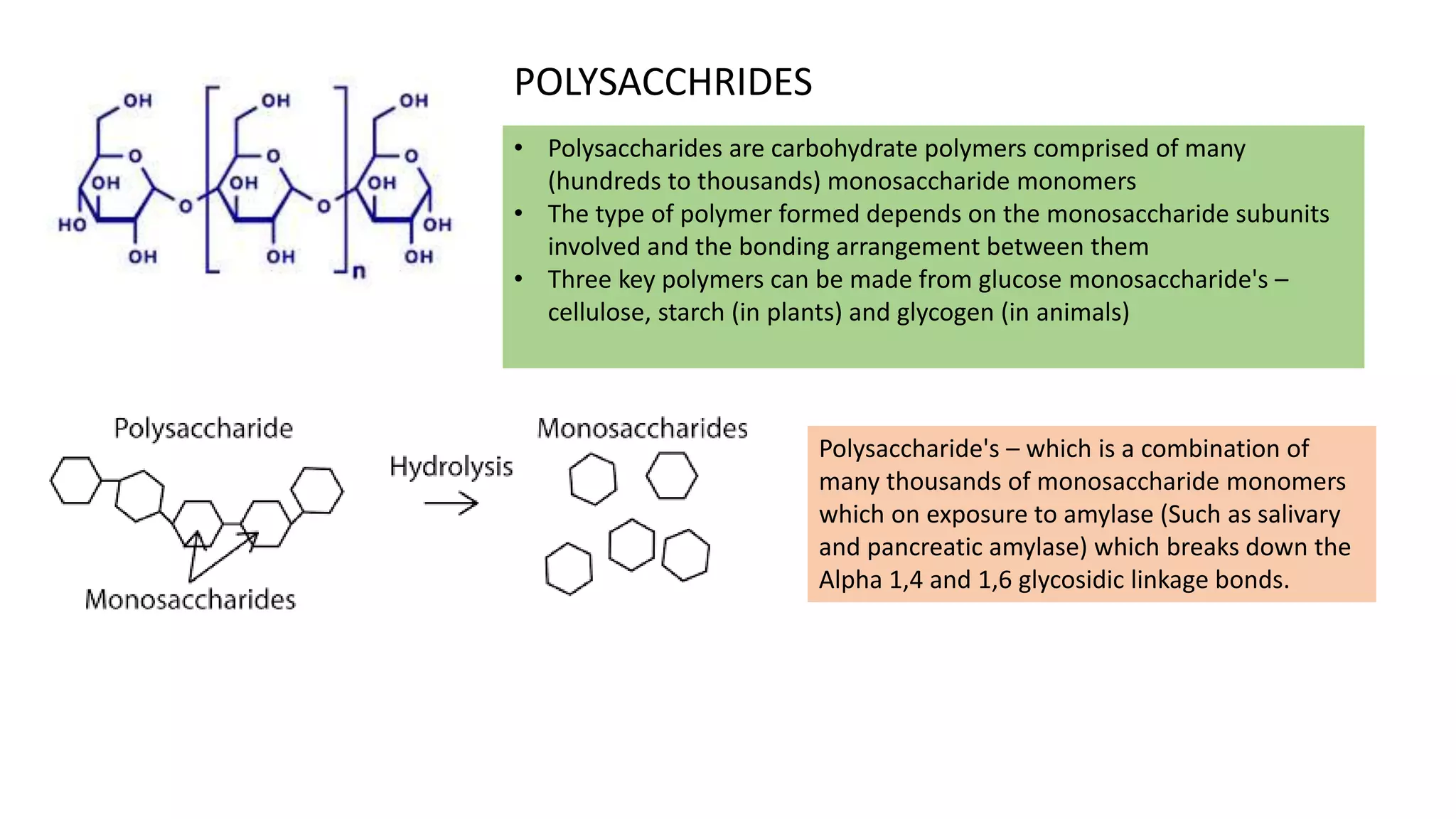 Carbohydrates and lipids | PPT
