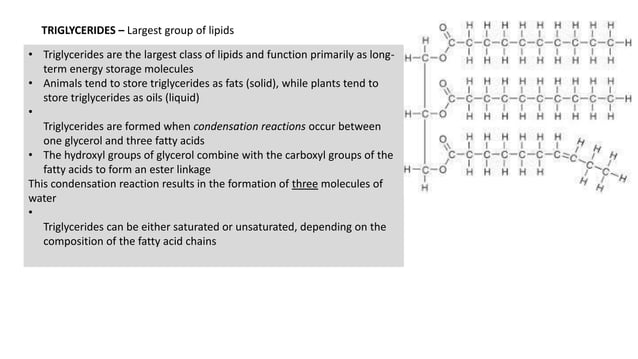 Carbohydrates and lipids | PPT