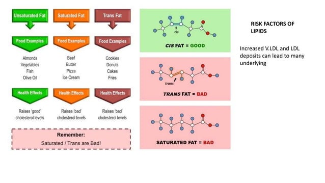 Carbohydrates and lipids | PPT
