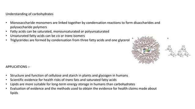 Carbohydrates and lipids | PPT