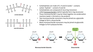 Carbohydrates and lipids | PPTX