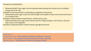 Carbohydrates and lipids | PPTX
