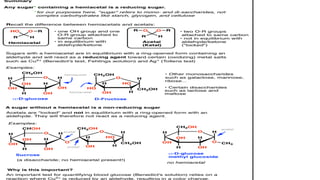 Carbohydrates and lipids | PPTX