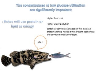 Carbohydrates and fish larval nutritional programming | PPTX