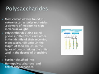 carbohydrates and other classification..pptx
