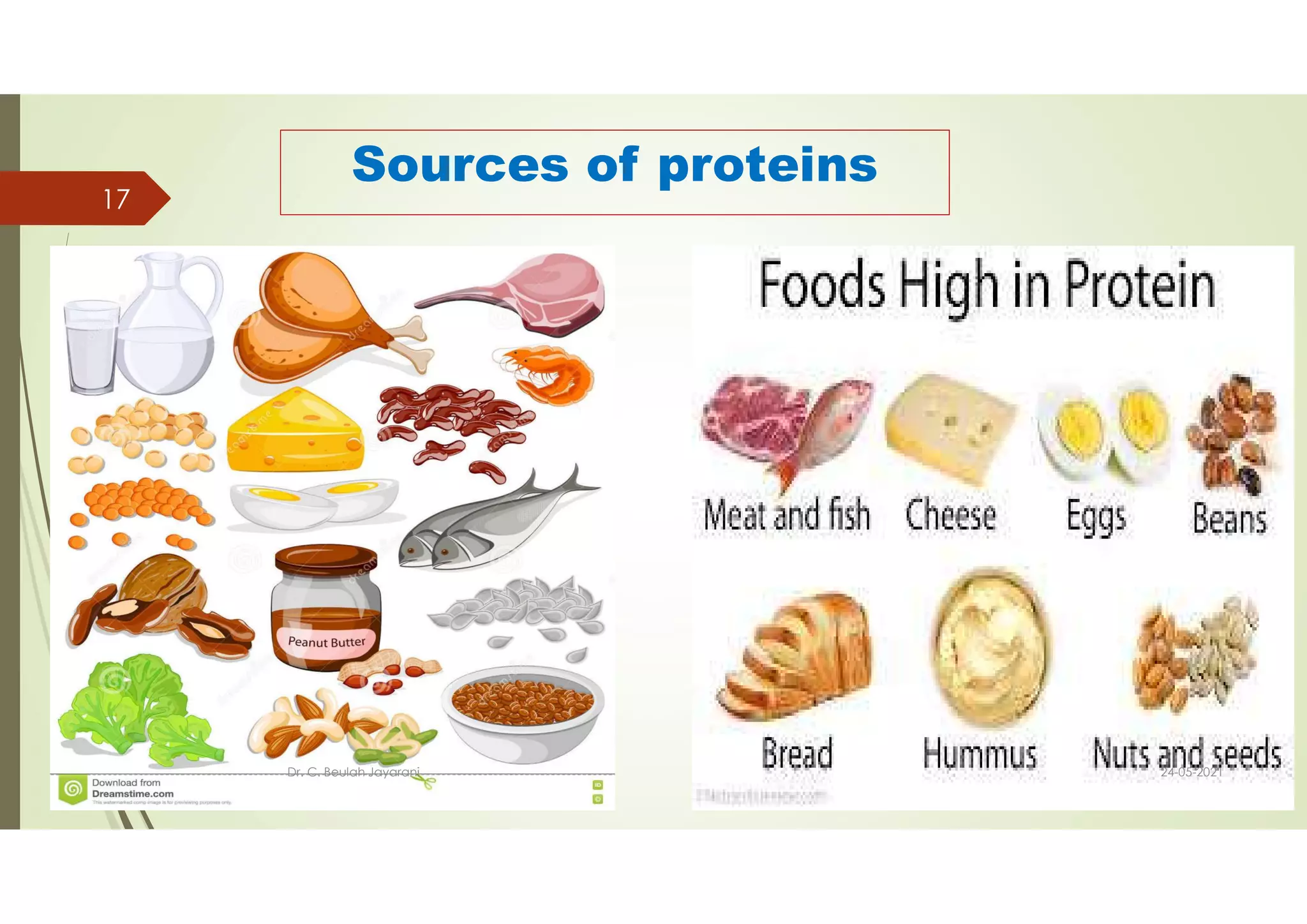 Carbohydrates and proteins | PDF