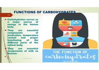 Carbohydrates and proteins | PDF