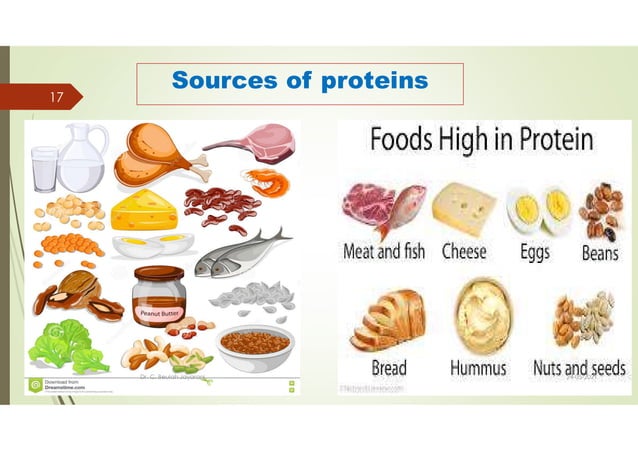 Carbohydrates and proteins | PDF | Nutrition | Healthy Living