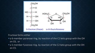 Carbohydrates and related systems | PPTX