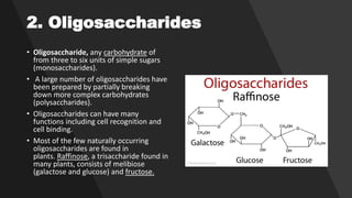 Carbohydrates and their classification | PPTX