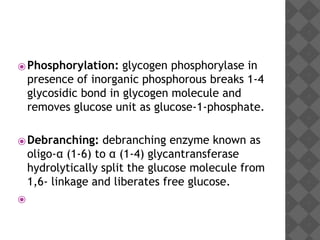 CARBOHYDRATES AND THEIR METABOLISM for nurses - P.B.Sc.pptx
