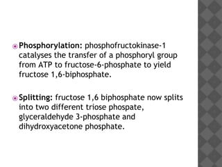 CARBOHYDRATES AND THEIR METABOLISM for nurses - P.B.Sc.pptx
