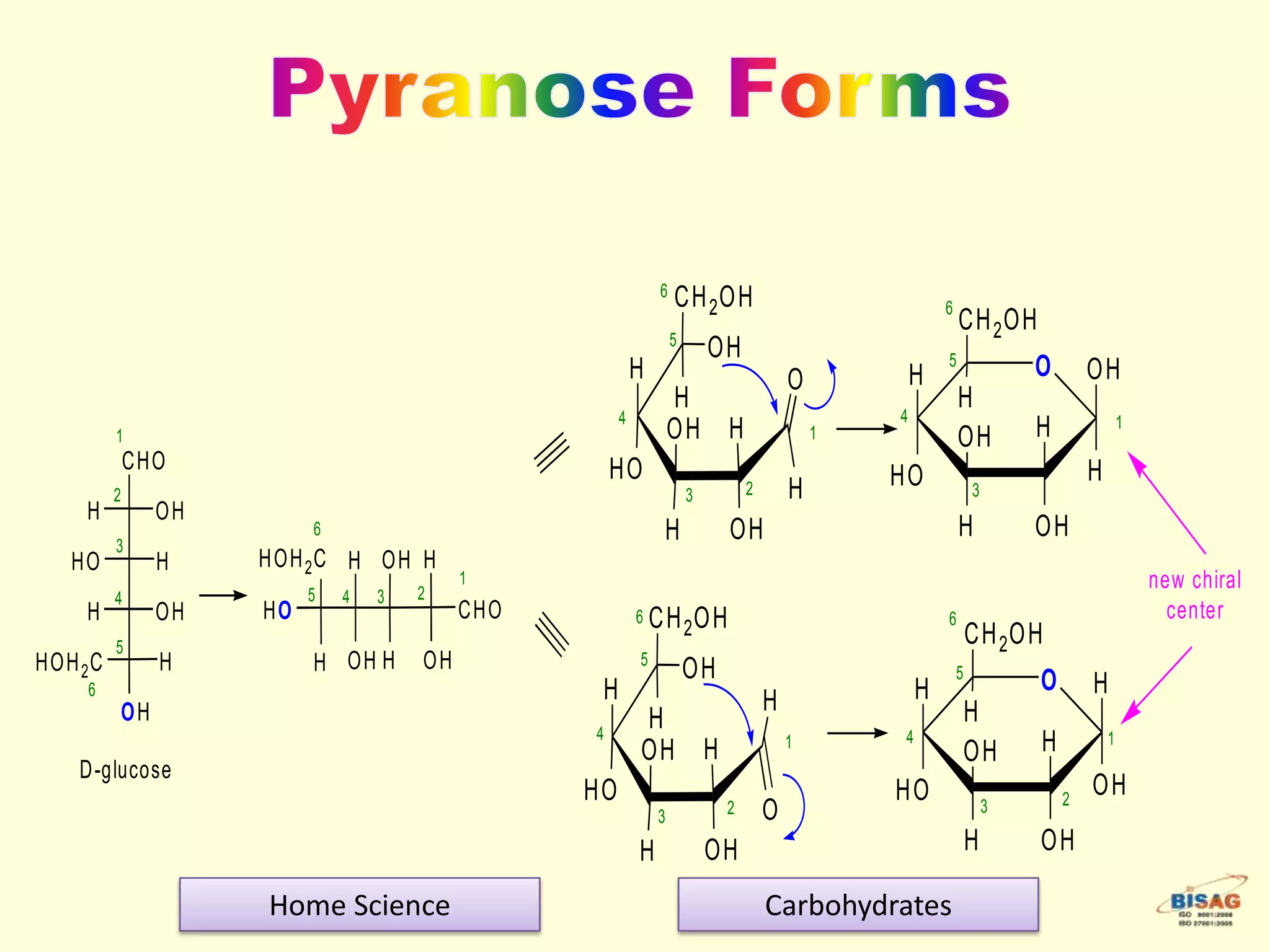 Carbohydrates | PPTX | Chemistry | Science