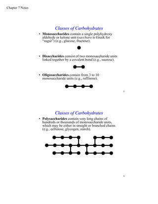 Fundamental of Organic Chemistry Basic of Carbohydrates Boudreaux (1) | PDF