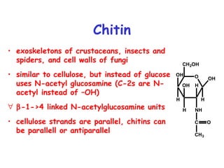 Carbohydrates | PPT