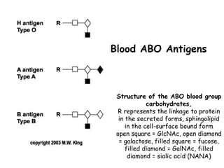 Carbohydrates | PPT | Chemistry | Science