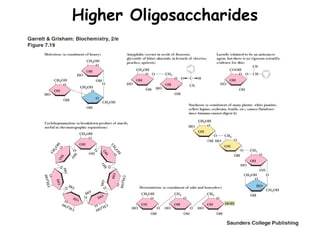 Carbohydrates | PPT | Chemistry | Science