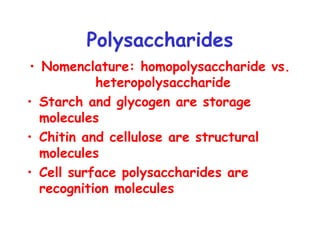 Carbohydrates | PPT | Chemistry | Science