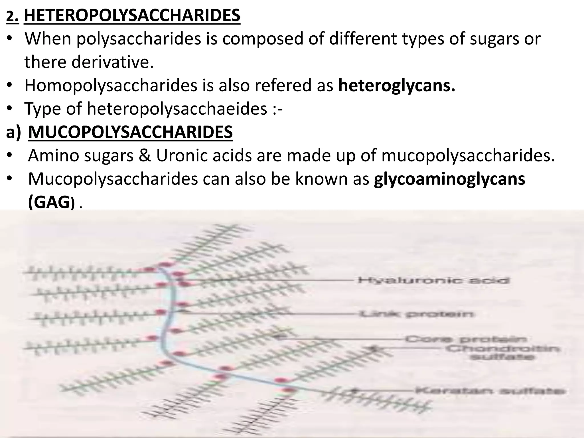 Carbohydrates (chapter 1) | PPTX