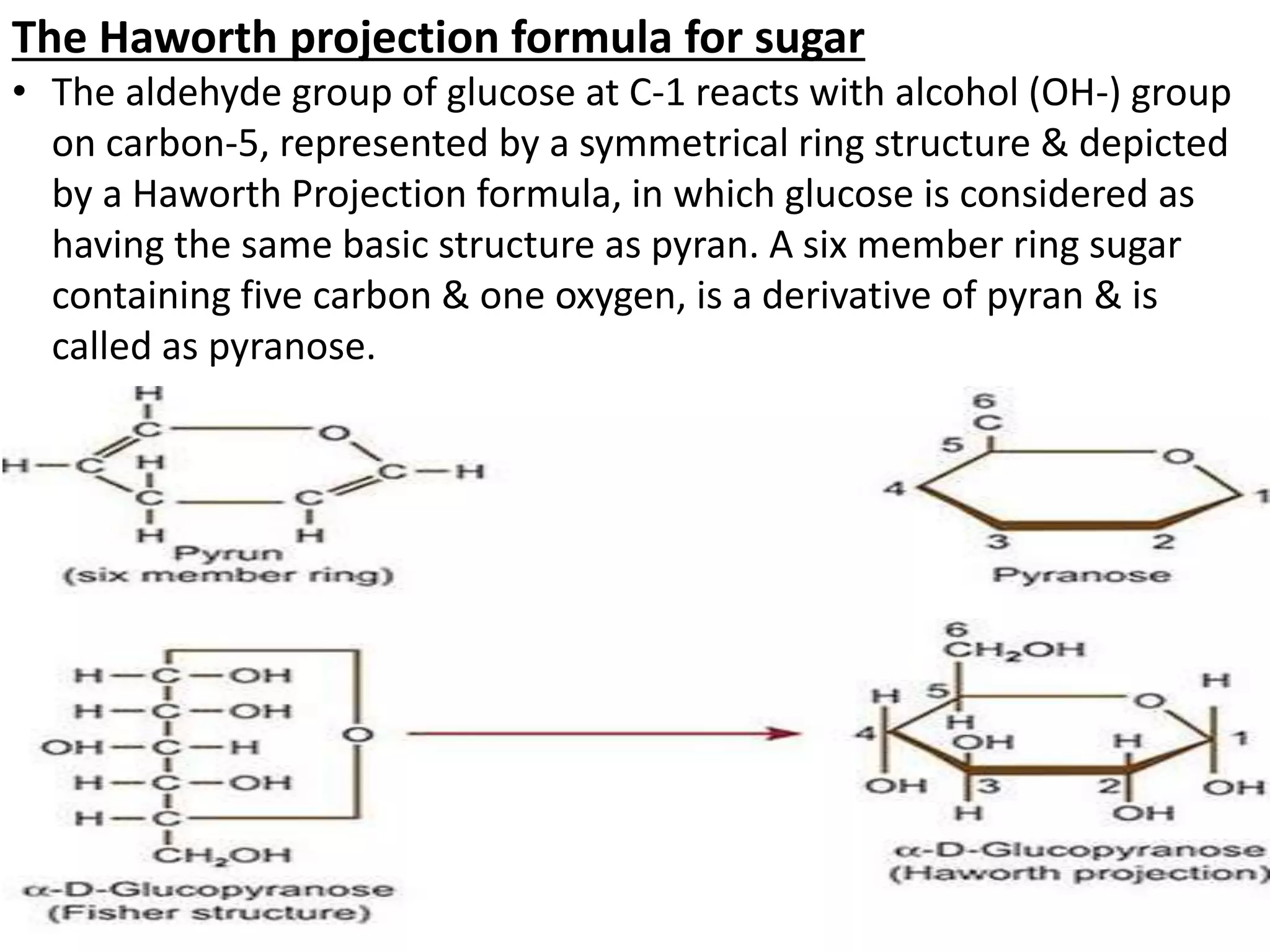 Carbohydrates (chapter 1) | PPTX