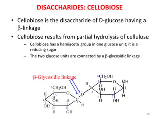 Food chemistry Carbohydrates presentation.ppt